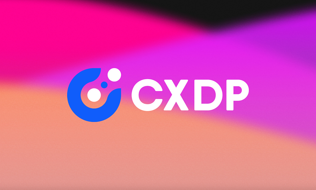 CXDP: Customer Experience Data Platform – платформа CXDP